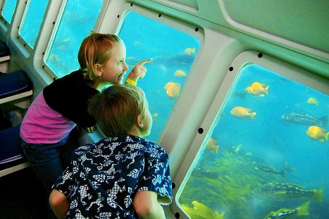 Catalina Island Day Trip from LAX area hotels with Undersea Adventure - Transportation and Timing: A Closer Look
