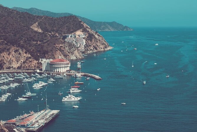 Catalina Island Ferry Avalon to Newport Beach - The Journey from Newport Beach to Avalon