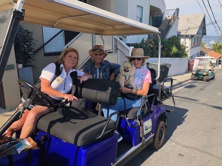 Catalina Island: Private Guided Golf Cart Tour of Avalon - Who Should Book This Tour?  