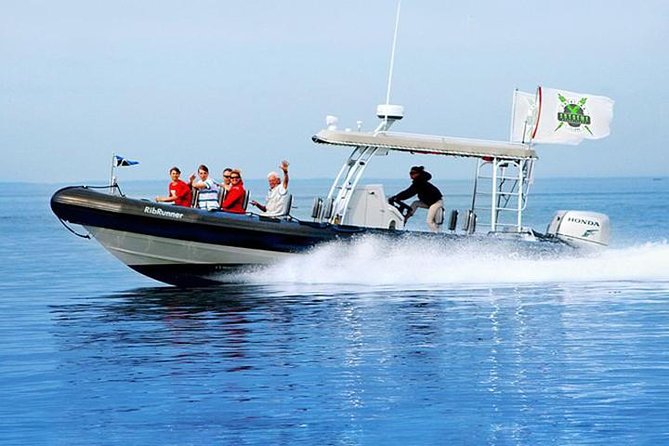 Catalina Island Trip with Hotel transfers & Optional tours - What Makes This Tour Stand Out?