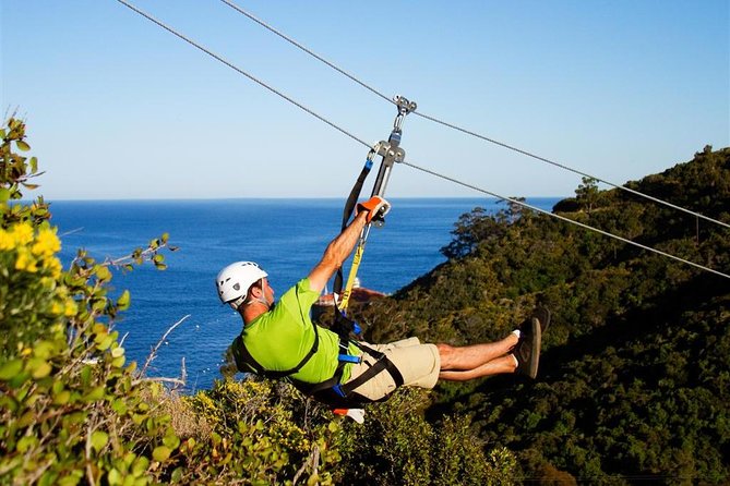 Catalina Island Trip with Zipline Eco Tour and Hotel Transfers - Final Stop: Return to Long Beach