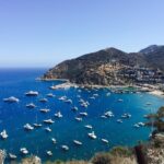 Catalina Island w/Discover Avalon Scenic Tour & Hotel transfers - What Makes This Tour Stand Out