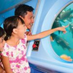 Catalina Island: Yellow Semi-Submarine Cruise - Who Should Consider This Tour?