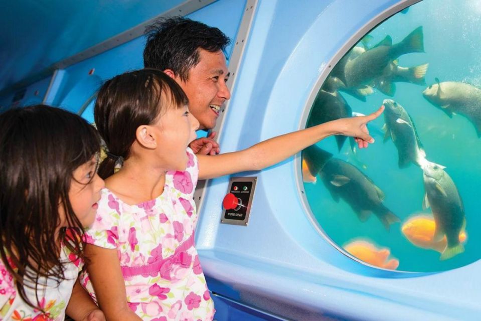 Catalina Island: Yellow Semi-Submarine Cruise - Who Should Consider This Tour?