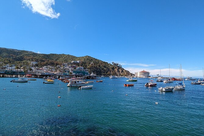 Catalina Scavenger Hunt Walking Tour and Game - Why Choose This Catalina Scavenger Hunt?