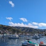 Catalina Scavenger Hunt Walking Tour and Game - What to Expect on the Tour