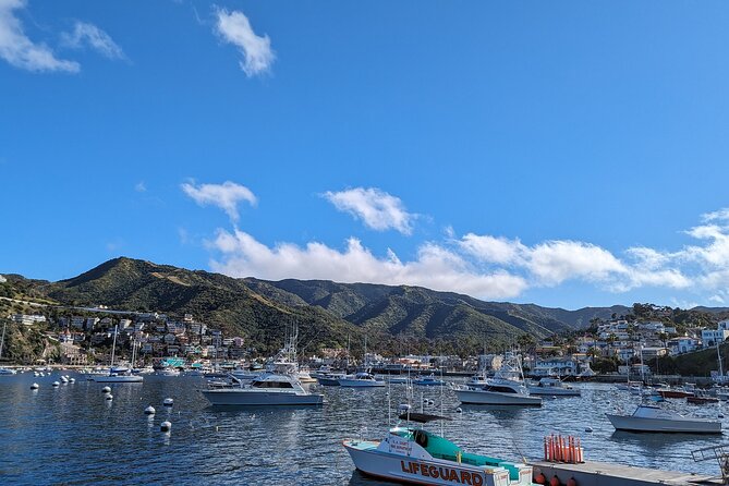 Catalina Scavenger Hunt Walking Tour and Game - What to Expect on the Tour