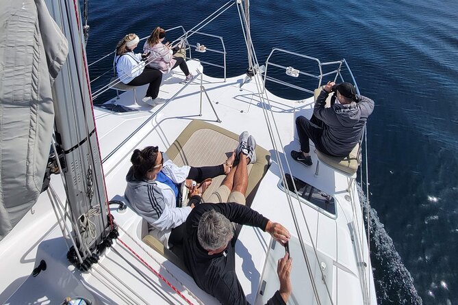 Catamaran Sailing Cruise in Monterey - Key Points