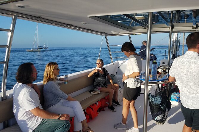 Catamaran Sailing Cruise in Monterey - Who Will Love This Tour?