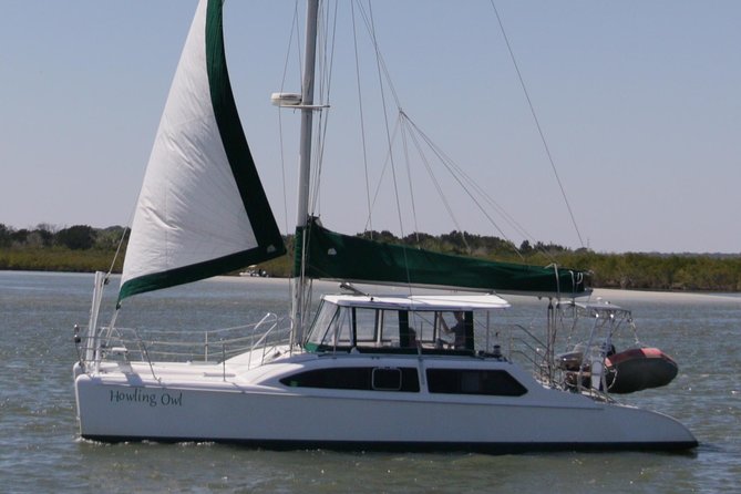 Catamaran Sailing Dolphin/Manatee Watch in Daytona Beach - Key Points  