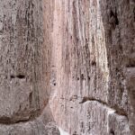 Cathedral Gorge State Park and Area 51 day tour from Las Vegas - Final Thoughts