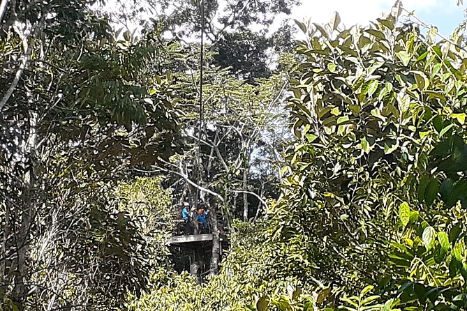 Cave Kayaking or tubing, Ziplines and Altun Ha V.i.V. - Introduction