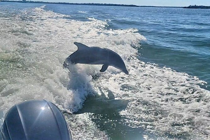 Cayo Costa Private Power Boat Experience - Why Choose the Cayo Costa Private Power Boat Experience?