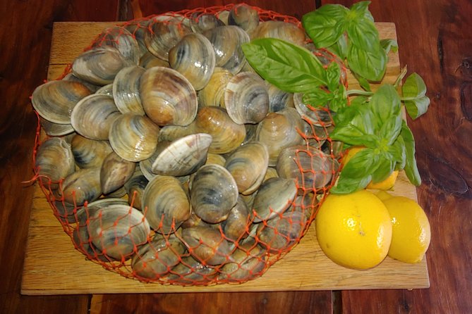 Cedar Key Food Walks - Frequently Asked Questions