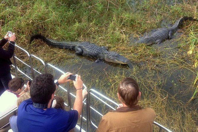 Central Florida Everglades Airboat Tour from Orlando - Exploring the Central Florida Everglades Airboat Tour from Orlando