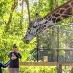 Central Florida Zoo and Botanical Gardens Ticket - The Value for Money