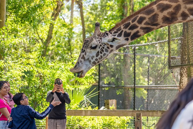 Central Florida Zoo and Botanical Gardens Ticket - The Value for Money