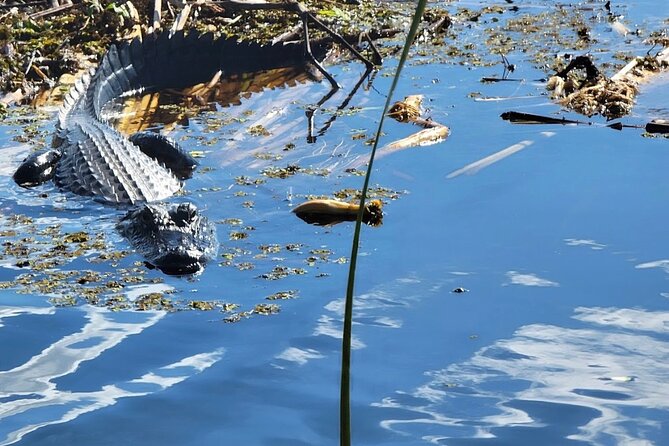 CENTRAL FLORIDAS BEST PRICED eco-friendly airboat rides - Who Should Consider This Tour?