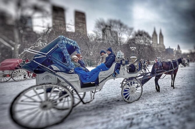 Central Park and NYC Horse Carriage Ride - The Experience: What to Expect