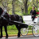 Central Park and NYC Horse Carriage Ride - The Value of a Private Carriage Ride
