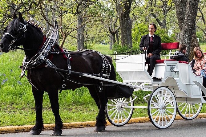 Central Park and NYC Horse Carriage Ride - The Value of a Private Carriage Ride
