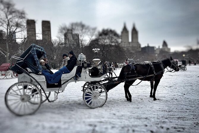 Central Park and NYC Horse Carriage Ride - Who Should Consider This Tour?