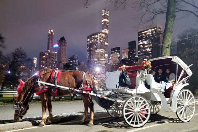 Central Park and NYC Horse Carriage Ride - The Sum Up