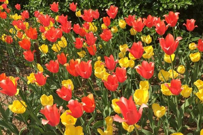 Central Park and Upper East Side Walking Tour - Practical Details and Tips
