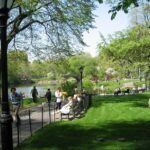Central Park and Upper East Side Walking Tour - The Experience from Past Travelers