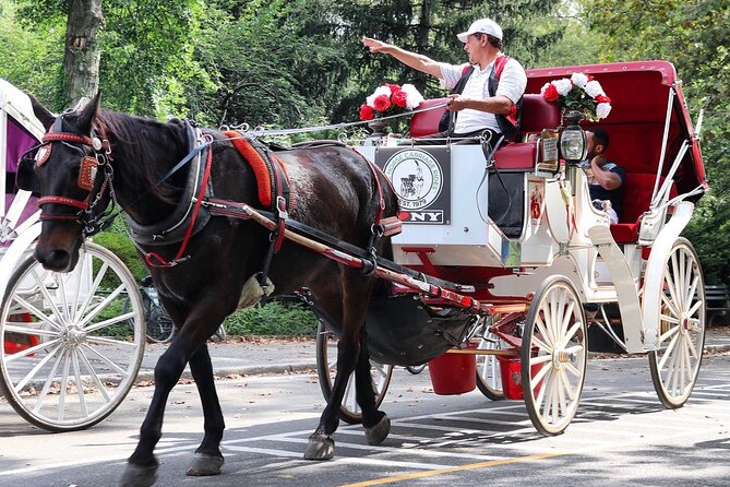 Central Park Carriage Ride w/ Drop Off @ Tavern On Green (45 min) - The Experience in Detail