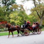 Central Park Carriage Ride w/ Drop Off @ Tavern On Green (45 min) - Who Should Consider This Tour?