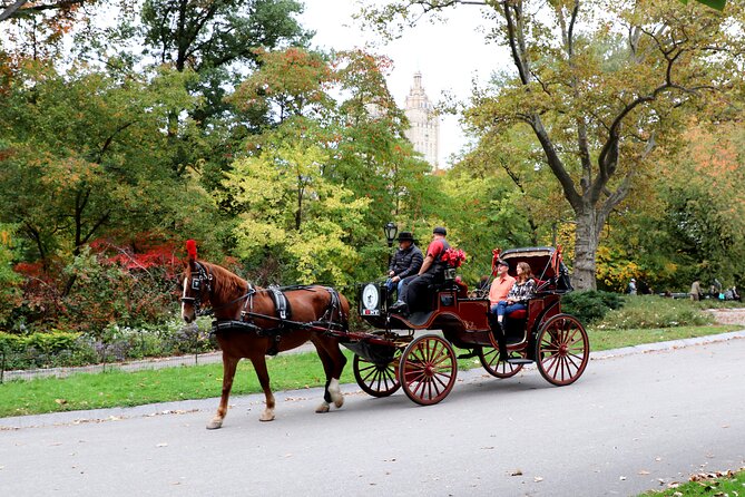 Central Park Carriage Ride w/ Drop Off @ Tavern On Green (45 min) - Who Should Consider This Tour?