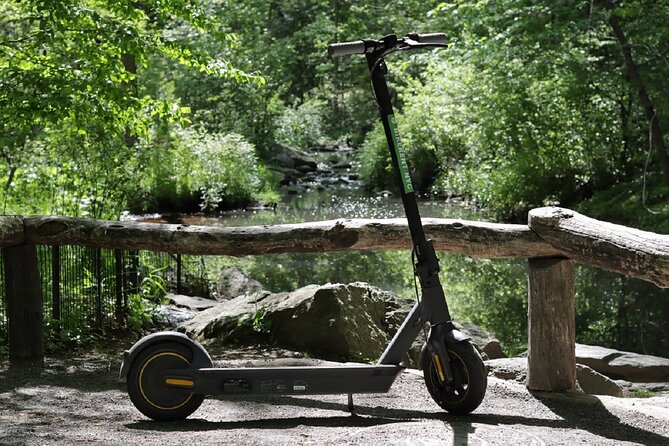 Central Park Electric Scooter Rentals - Insights from Reviewers