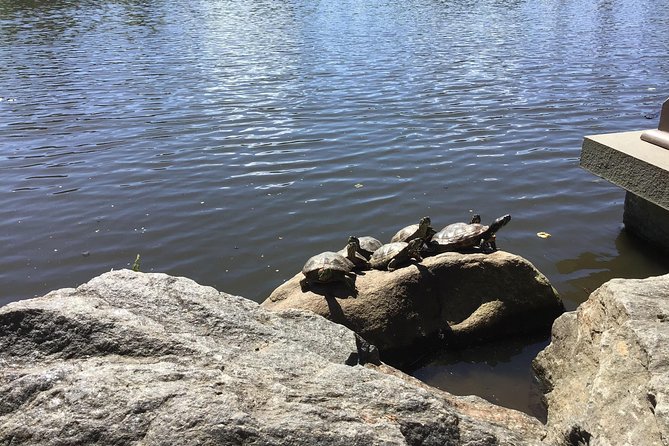 Central Park Guided Walking Tour - The Sum Up