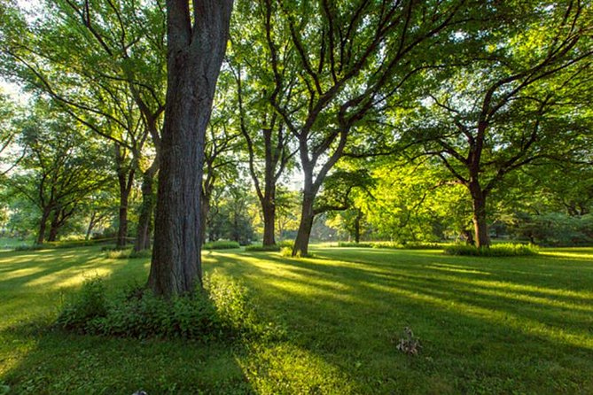 Central Park Guided Walking Tour - FAQ
