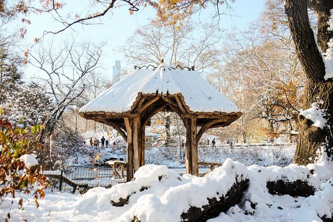 Central Park Guided Walking Tour in French - Authentic Experiences and Practical Tips