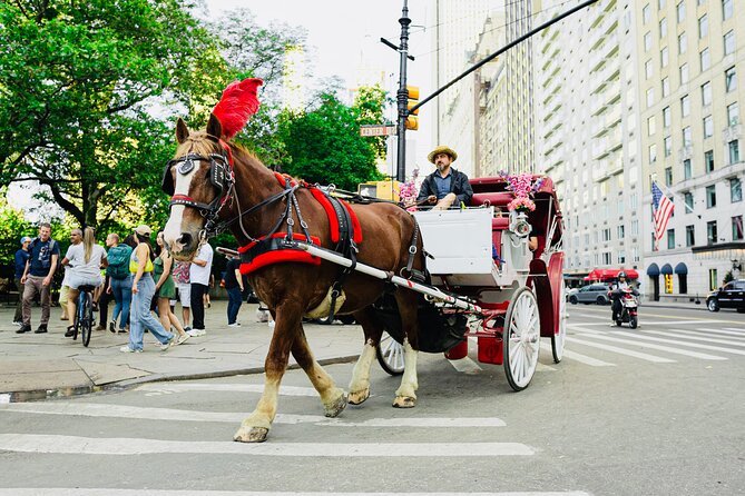 Central Park Horse and Carriage Rides - What to Expect from Your Central Park Horse and Carriage Ride
