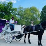 Central Park Horse and Carriage Rides - Price and Value: Is It Worth It?