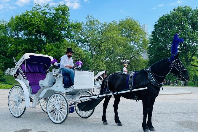 Central Park Horse and Carriage Rides - Price and Value: Is It Worth It?