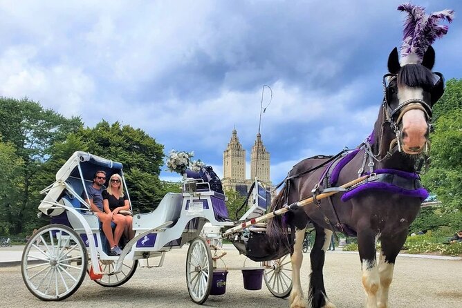 Central Park Horse and Carriage Rides - Practical Tips for Your Carriage Ride