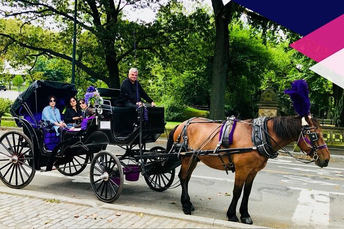 Central Park Horse and Carriage Rides - Who Should Consider This Tour?