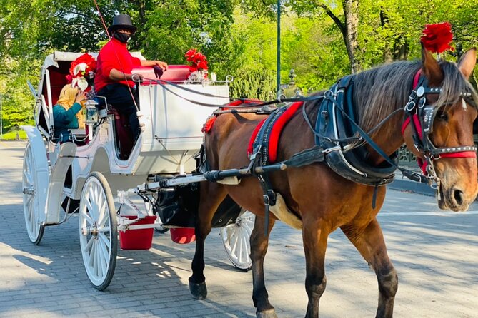 Central Park Horse and Carriage Rides - FAQs