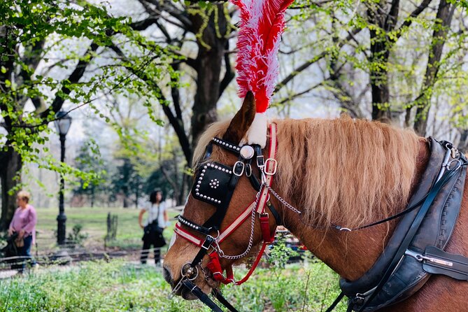 Central Park Horse and Carriage Rides - Final Thoughts