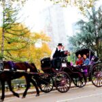 Central Park Horse Carriage Ride Short Loop (Up to 4 Adults)) - The Experience at a Glance
