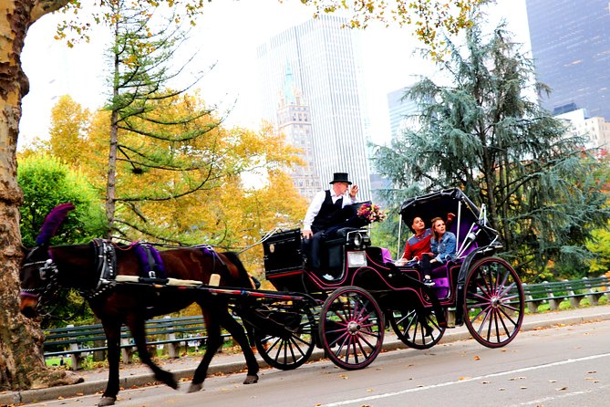 Central Park Horse Carriage Ride Short Loop (Up to 4 Adults)) - The Experience at a Glance