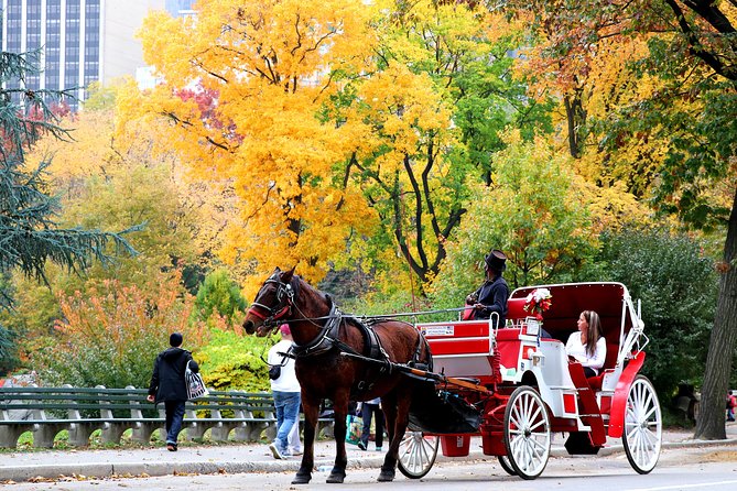 Central Park Horse Carriage Ride Short Loop (Up to 4 Adults)) - Authentic Insights from Reviewers