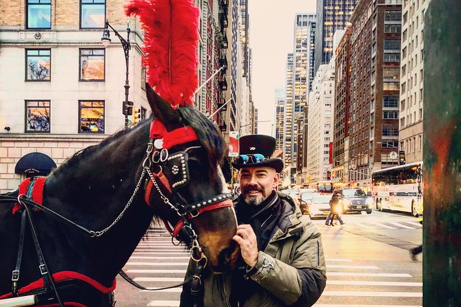 Central Park Horse Carriage Ride Short Loop (Up to 4 Adults)) - Practical Details and Considerations