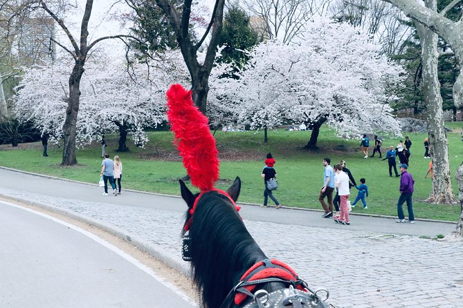 Central Park Horse Carriage Ride Short Loop (Up to 4 Adults)) - Who Should Consider This Tour?