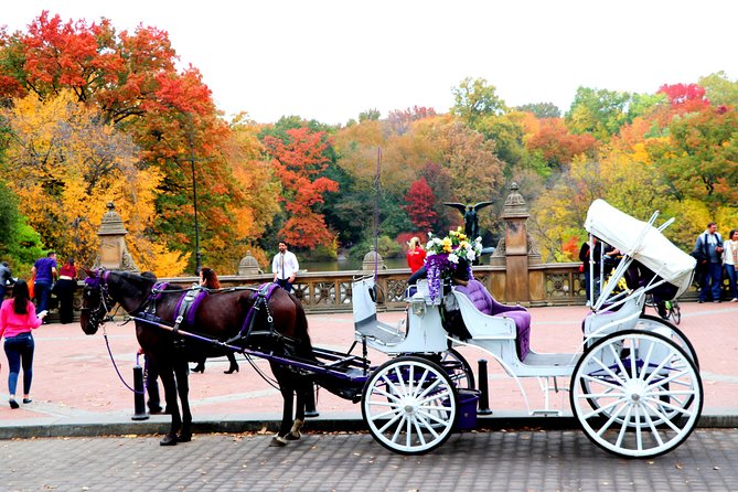 Central Park Horse Carriage Ride Short Loop (Up to 4 Adults)) - The Sum Up: Why This Tour Works