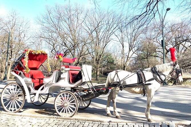 Central Park Horse Carriage Rides Since 2005 - Key Points